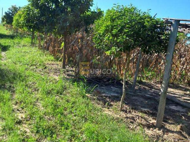 Terreno para venda em Área Rural De Monte Mor em Monte Mor São Paulo de 1257.00m²