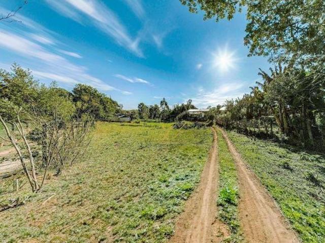 Terreno para venda em Área Rural De São José Dos Pinhais de 1300.00m²