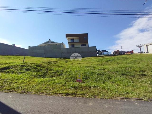 Terreno para venda em Arruda em Colombo Paraná de 300.00m²