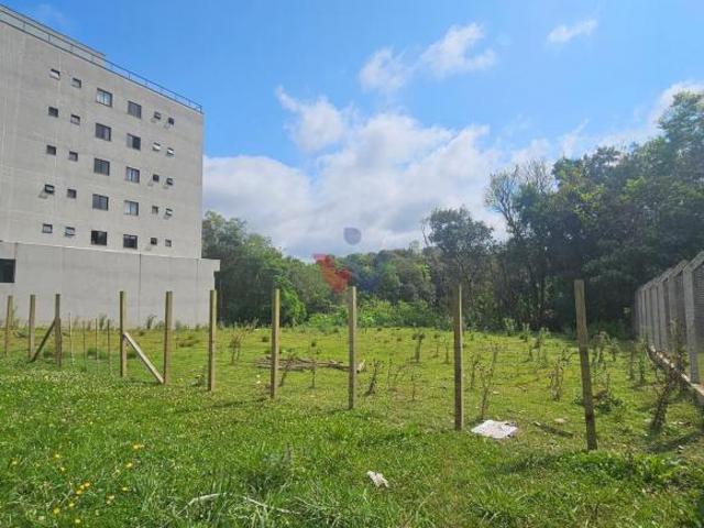 Terreno para venda em Boa Vista de 2544.00m²