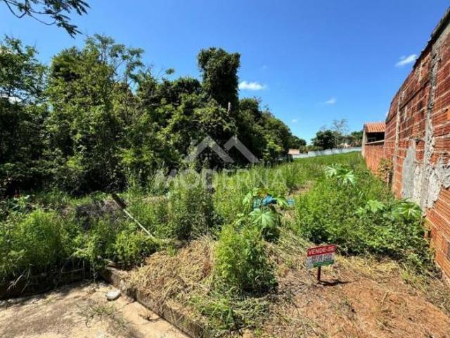 Terreno para Venda em Bofete, Jardim Santa Catarina