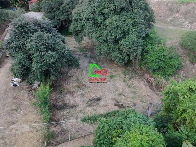 Terreno para venda em Bosque de 1387.00m²