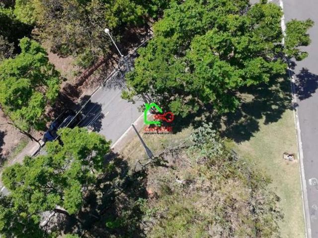 Terreno para venda em Bosque de 6494.00m²