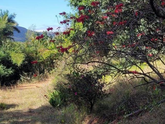Terreno para venda em Bosques de Ibirité, Ibirité