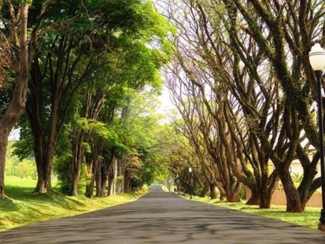 Terreno para venda em Bairro Inválido de 1482.00m²