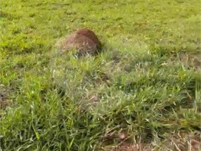 Terreno para venda em Bairro Inválido de 1220.00m²