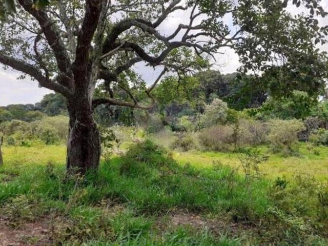Terreno para venda em Bairro Inválido de 40000.00m²