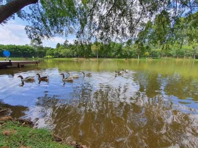 Terreno para venda em Bairro Inválido de 404.00m²