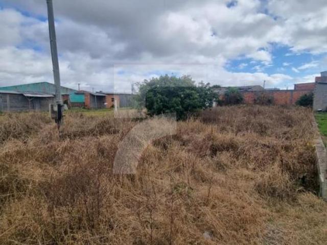 Terreno para Venda em Balneário Pinhal, Pinhal sul