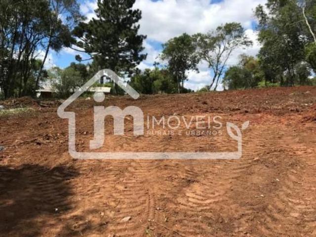 Terreno para Venda em Balsa Nova, São Caetano