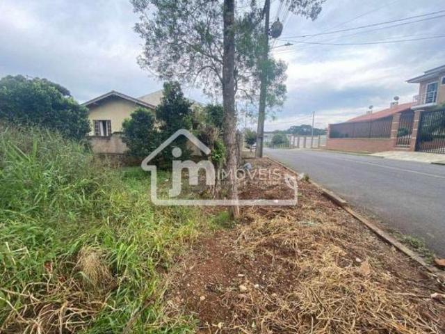 Terreno para Venda em Balsa Nova, São Caetano