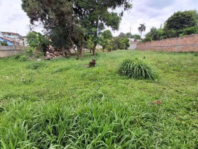 Terreno para Venda em Balsa Nova, São Caetano II