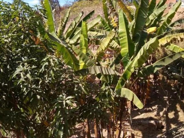 Terreno para venda em Bandeirinhas, Betim