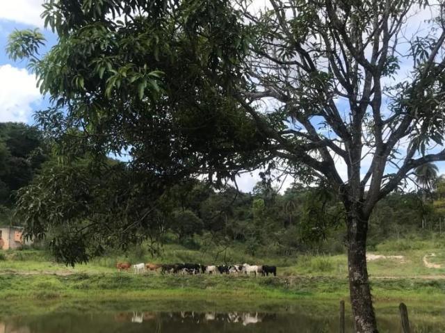 Terreno para venda em Bandeirinhas em Betim Minas Gerais de 250000.00m² com 10 Garagens