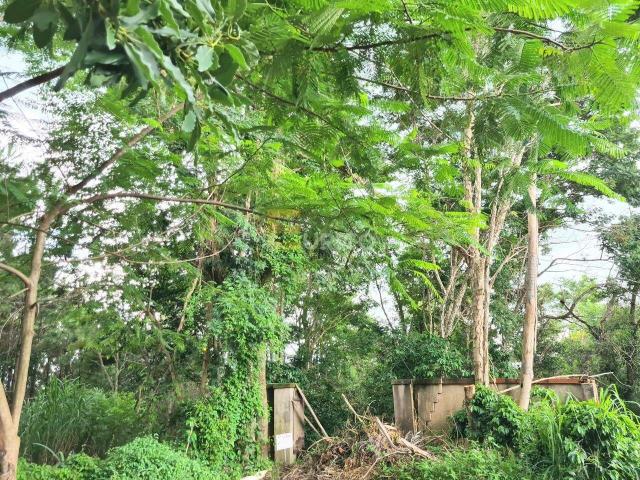 Terreno para venda em Buracão em Vinhedo São Paulo de 1546.00m²