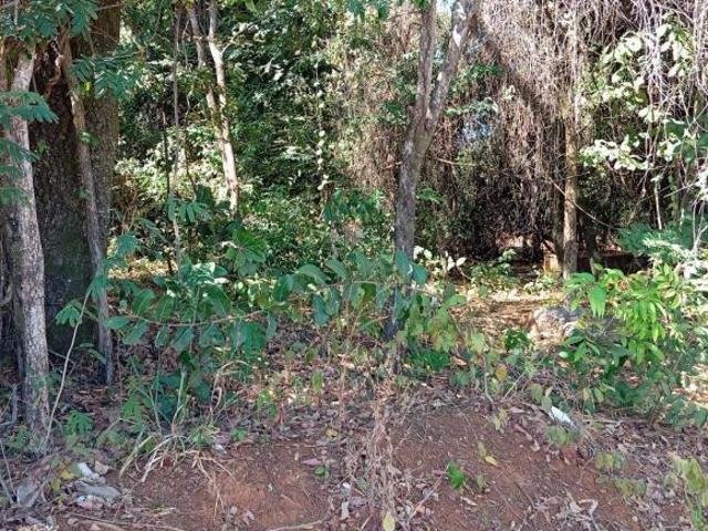 Terreno para Venda em Goiânia, Setor Faiçalville