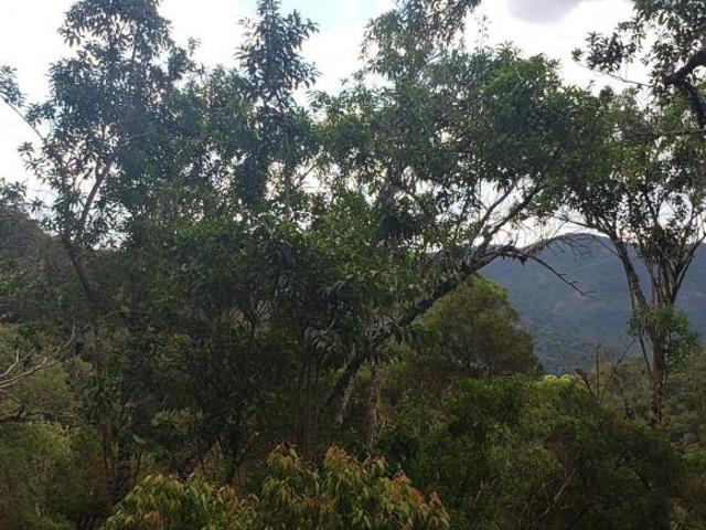 Terreno para Venda em Gonçalves, Bairro Campestre, 2 dormitórios, 1 suíte, 1 banheiro, 5 vagas