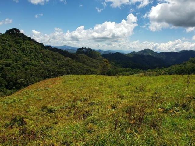 Terreno para Venda em Gonçalves, Campestre