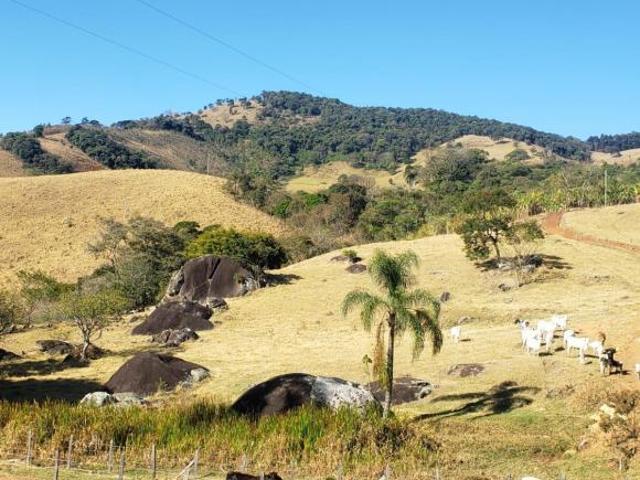 Terreno para Venda em Gonçalves, 9 km de Gonçalves