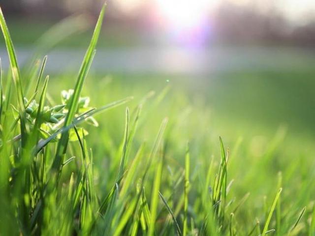 Terreno para venda em Gentileza, Betim