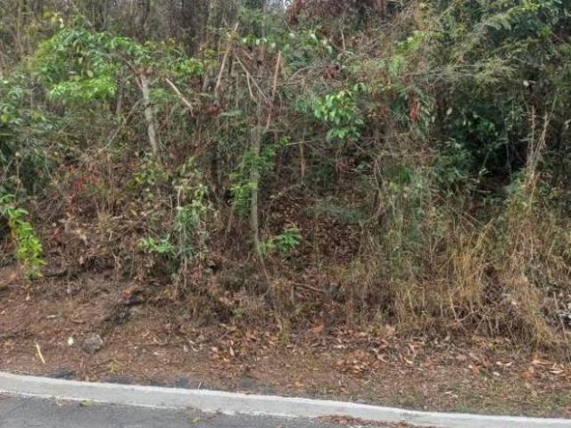 Terreno para venda em Gentileza de 2800.00m²