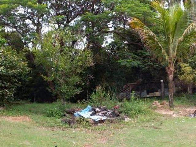 Terreno para venda em Gentileza de 3500.00m²