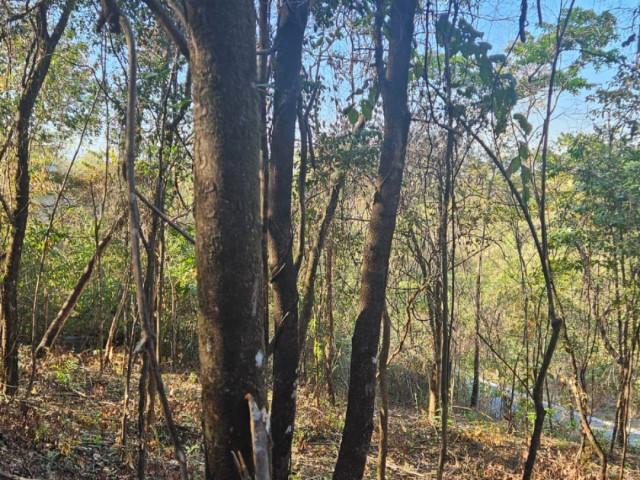 Terreno para venda em Gentileza em Betim Minas Gerais de 2800.00m²