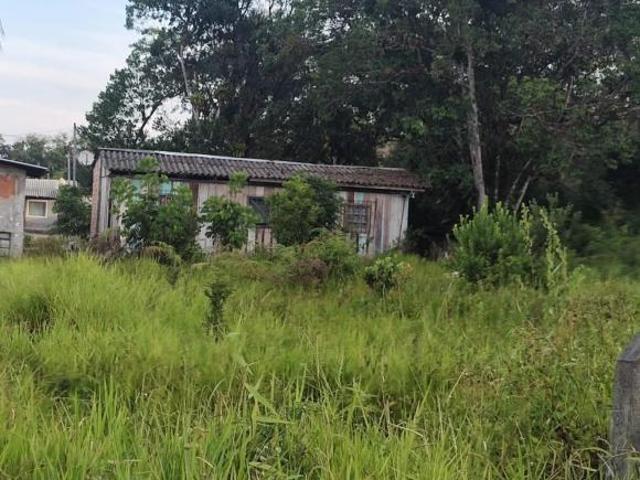 Terreno para Venda em Guaratuba, Nereidas