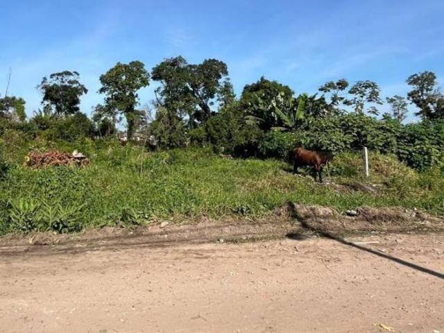 Terreno para Venda em Guaratuba, Piçarras