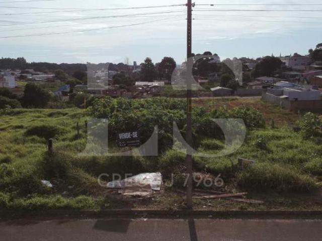 Terreno para Venda em Guarapuava, Alto da XV