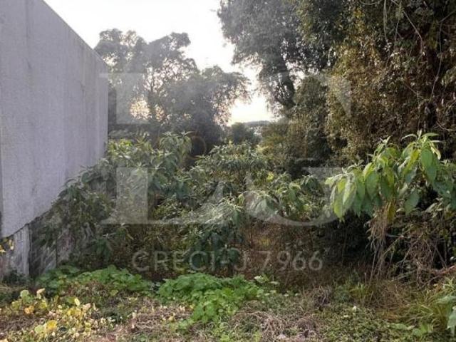 Terreno para Venda em Guarapuava, Boqueirão