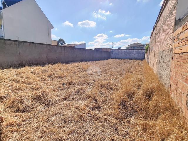 Terreno para venda em Guatupê em São José Dos Pinhais Paraná de 372.00m²