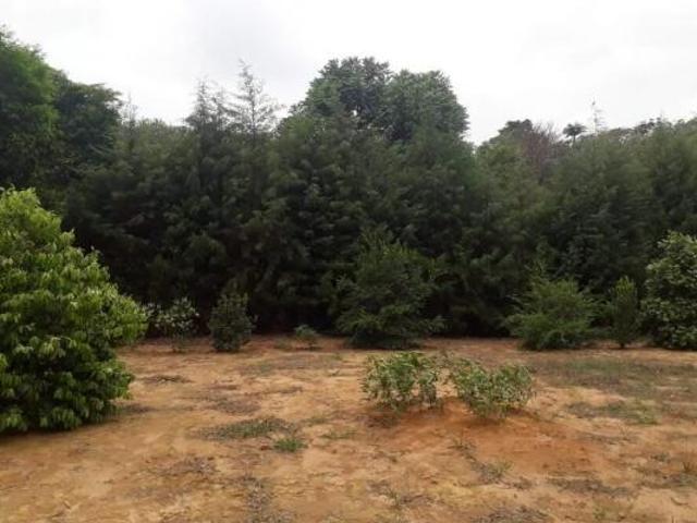 Terreno para venda em Dois Córregos de 26400.00m²