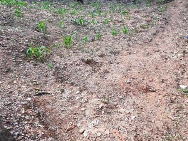 Terreno para venda em Dom Bosco, Belo Horizonte