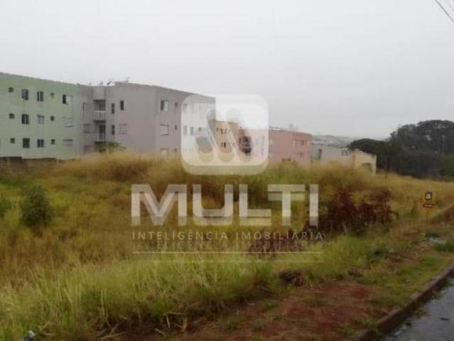 Terreno para venda em Dona Zulmira, Uberlândia
