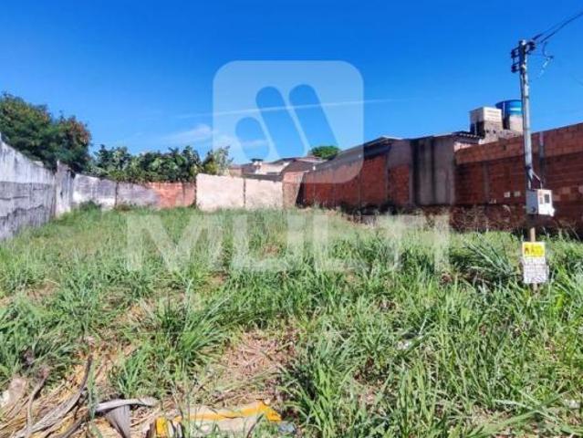 Terreno para venda em Dona Zulmira, Uberlândia