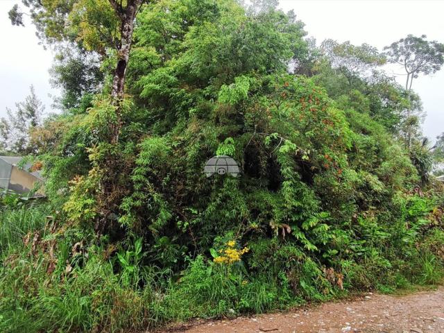 Terreno para venda em Embu em Colombo Paraná de 943.00m²
