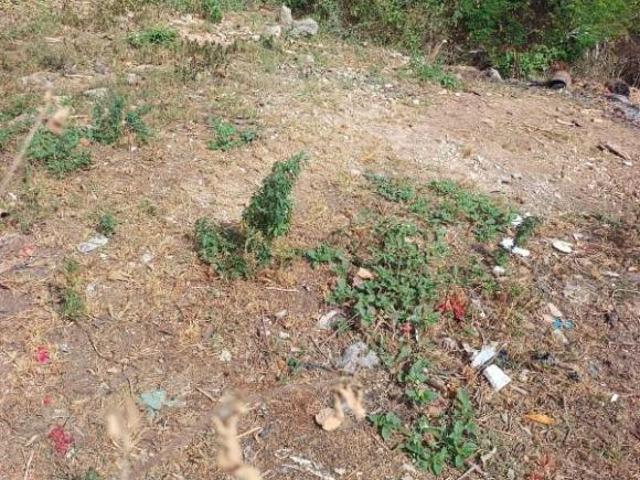 Terreno para venda em Eldorado, Contagem
