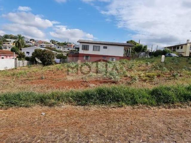 Terreno para Venda em Erechim, Linho
