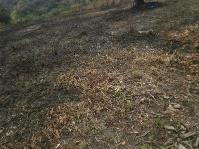 Terreno para venda em Estaleiro, Contagem