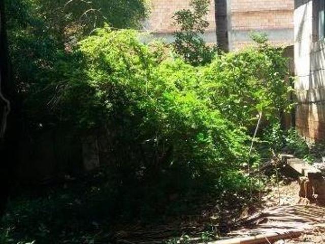 Terreno para venda em Estrela do Oriente, Belo Horizonte