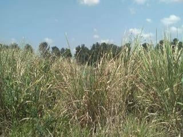 Terreno para venda em Europark Comercial de 5626.00m²