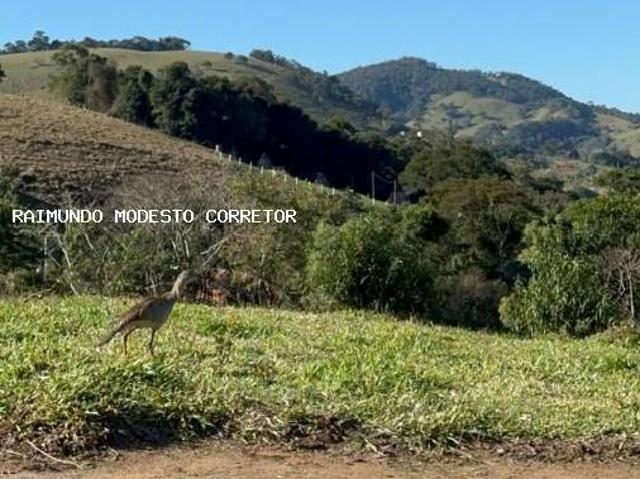 Terreno para Venda em Extrema, Juncal