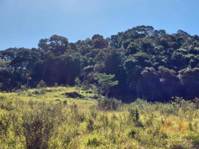 Terreno para Venda em Extrema, Salto de Baixo