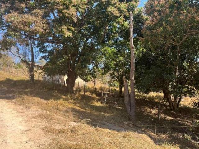 Terreno para Venda em Florestal, area rural
