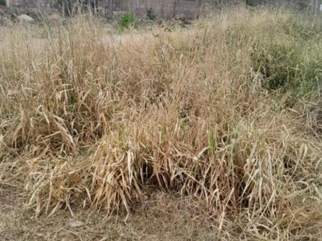 Terreno para venda em Flórida Melo Viana, Esmeraldas