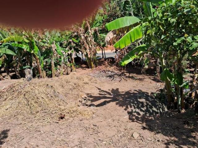Terreno para Venda em Francisco Morato, Estância Belém