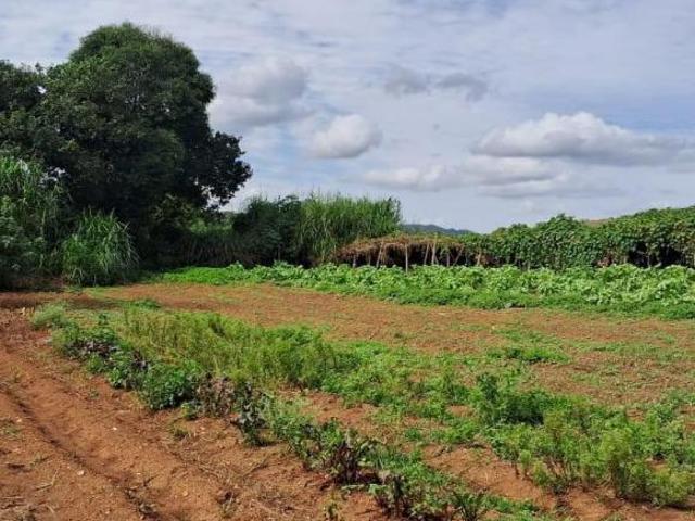 Terreno para Venda em Franco da Rocha, Vargem Grande