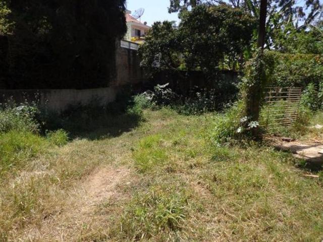 Terreno para venda em Horto Florestal de 1025.00m²
