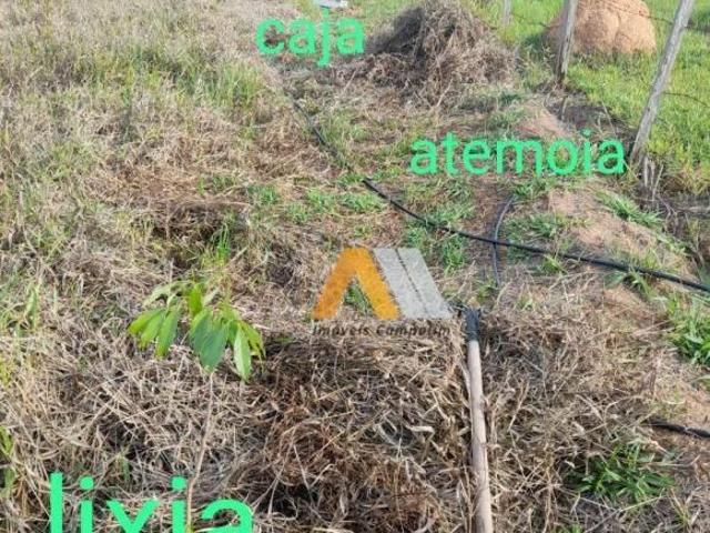 Terreno para venda em Inhayba de 1500.00m²